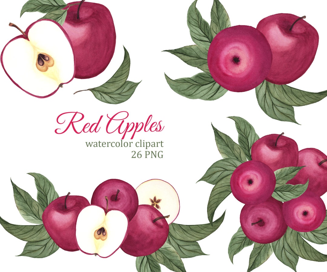 Red Apples Watercolor Clipart. Autumn, Summer PNG, Fall Wreath, Harvest ...