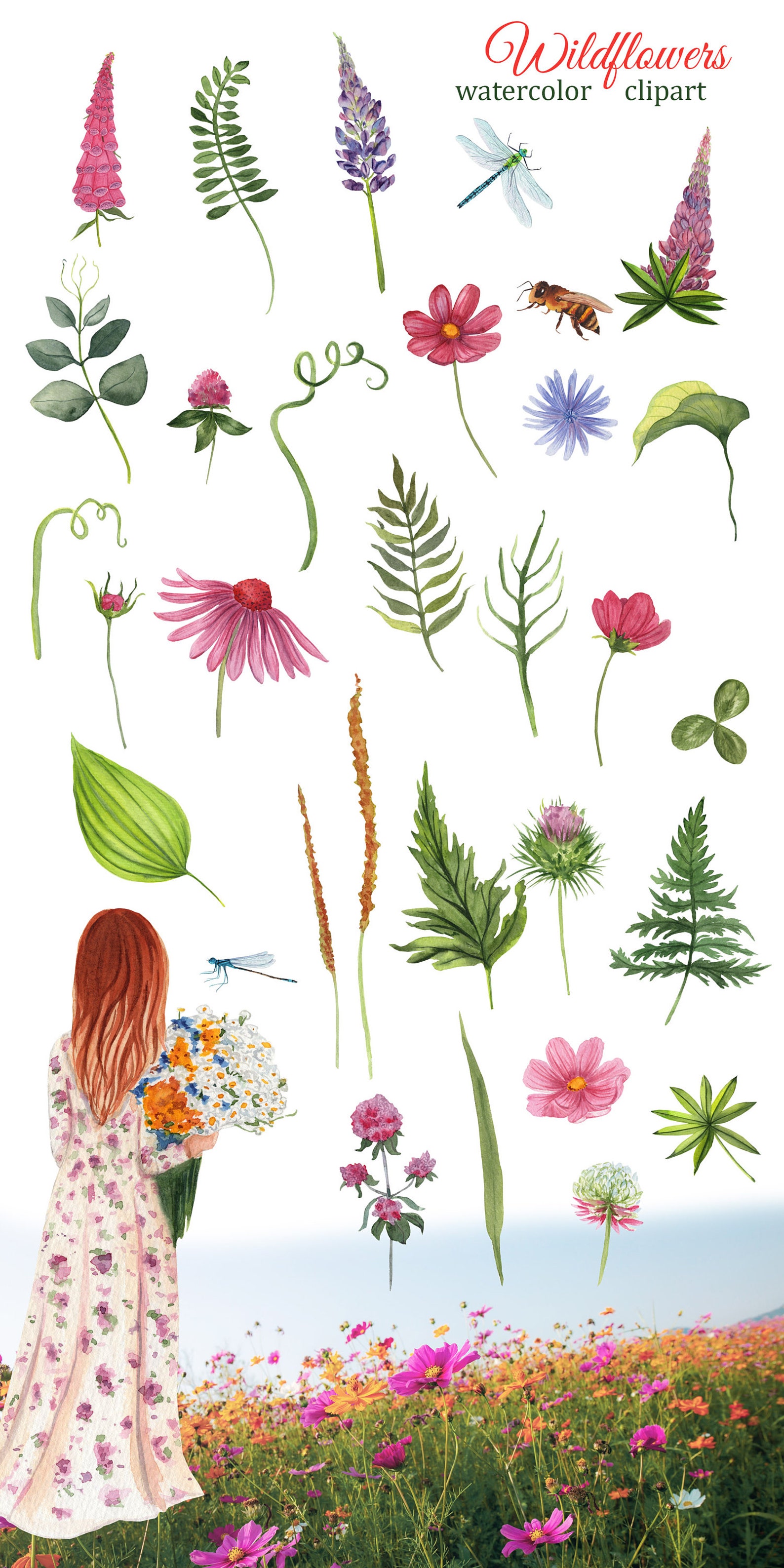 Wildflowers Meadow Watercolor Clipart Summer Png - Etsy