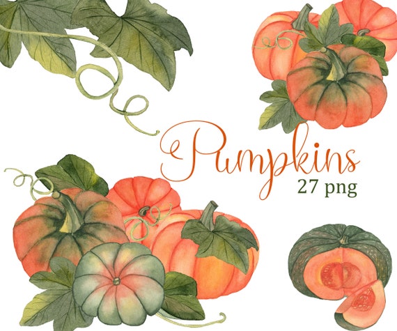 Watercolor Pumpkins Clipart. Thanksgiving Fall PNG Pumpkin | Etsy