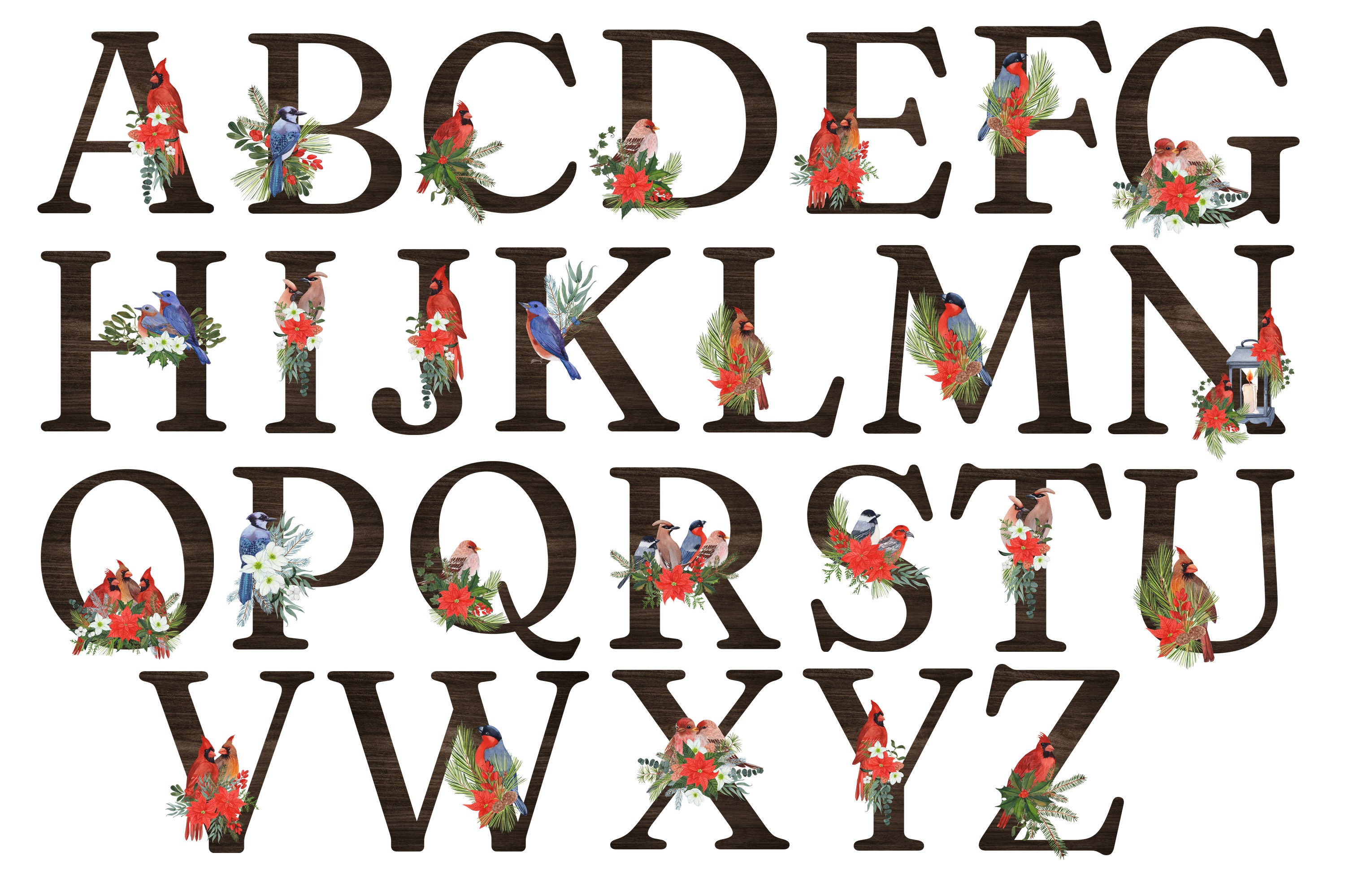 Alphabet Clipart With Watercolor Winter Birds Numbers - Etsy