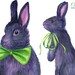Cute Bunnies Watercolor Clipart, Easter Rabbits With Bow, Ribbons ...