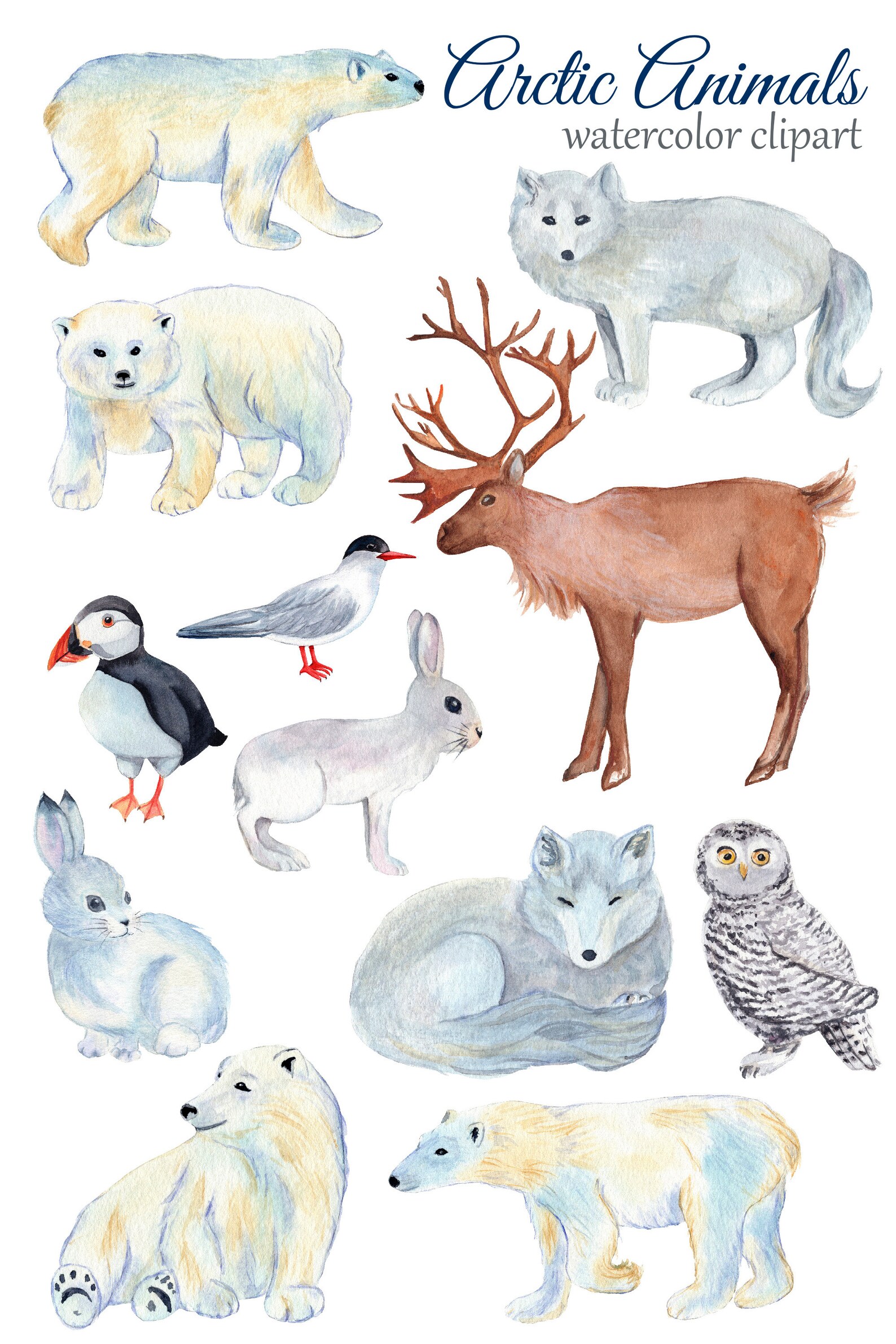 Arctic Animals Watercolor Clipart Winter Clipart Polar Bear - Etsy