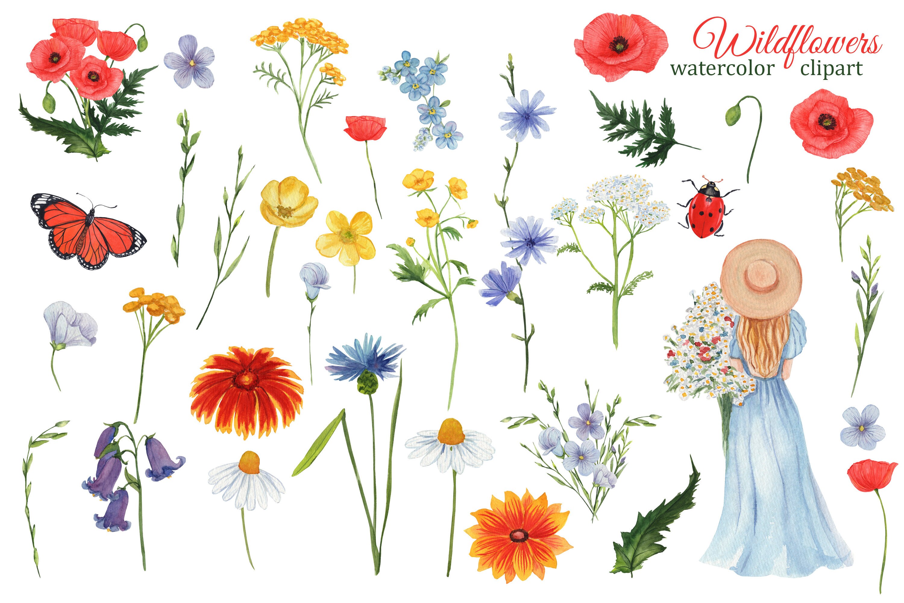 Wildflowers Meadow Watercolor Clipart, Summer Png - Etsy