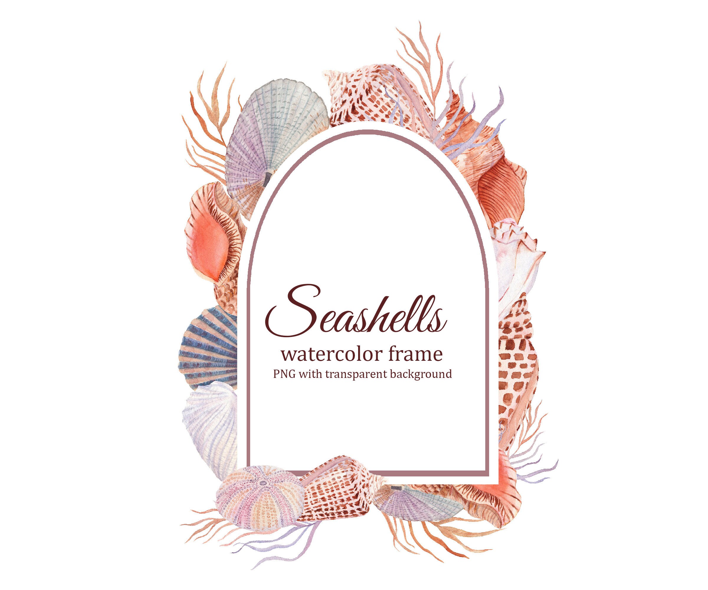 Seashell Watercolor Frame, Nautical Clipart, Beach Wedding PNG, Planner ...