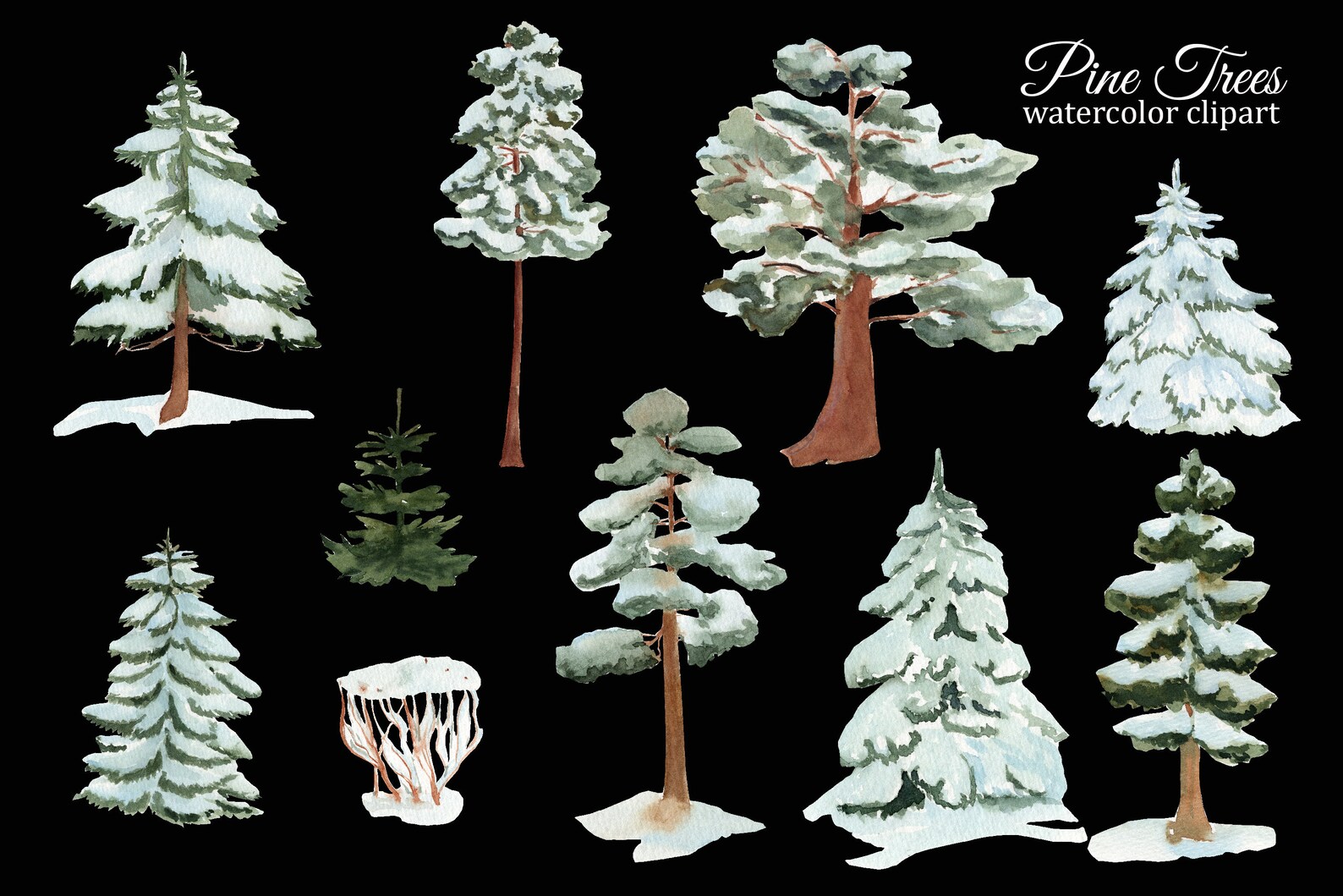 Winter Pine Trees Watercolor Clipart Spruce PNG Forest - Etsy