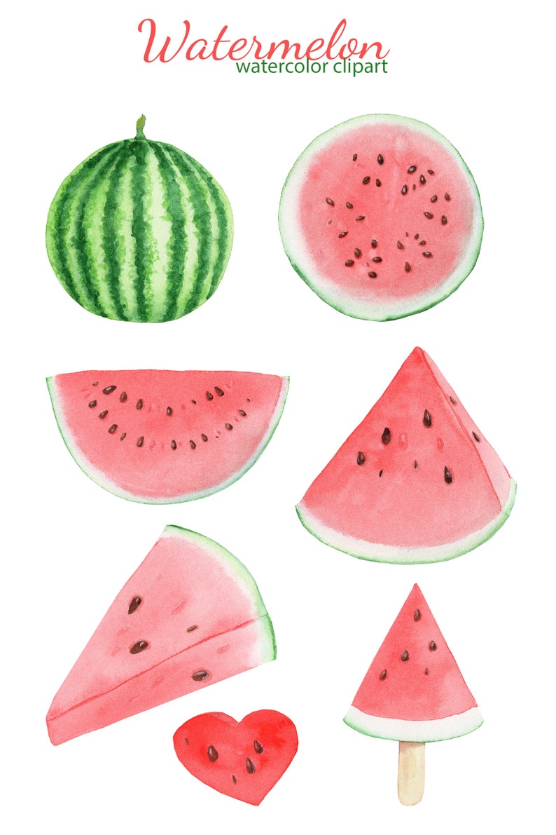 Watermelon Clipart. Watercolor Fruit Summer Clipart. - Etsy