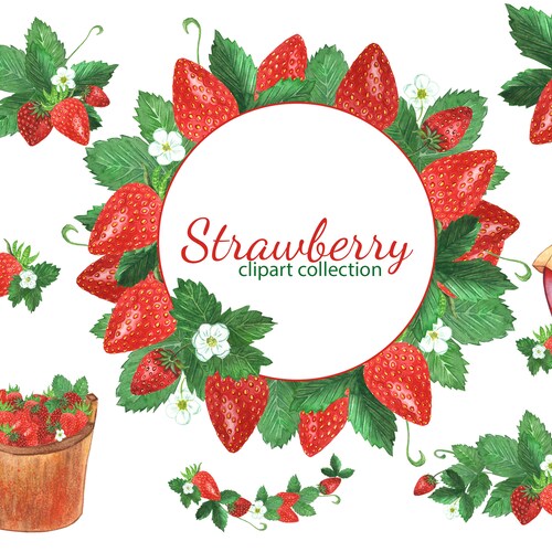 Strawberry Clipart Illustration Strawberries Summer - Etsy