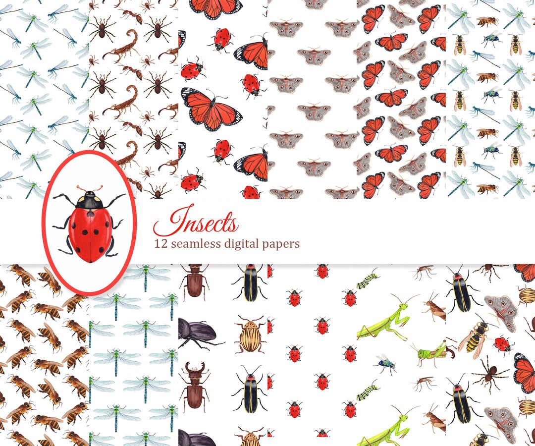Insects Seamless Pattern, Minibeast Digital Paper Pack, Summer ...