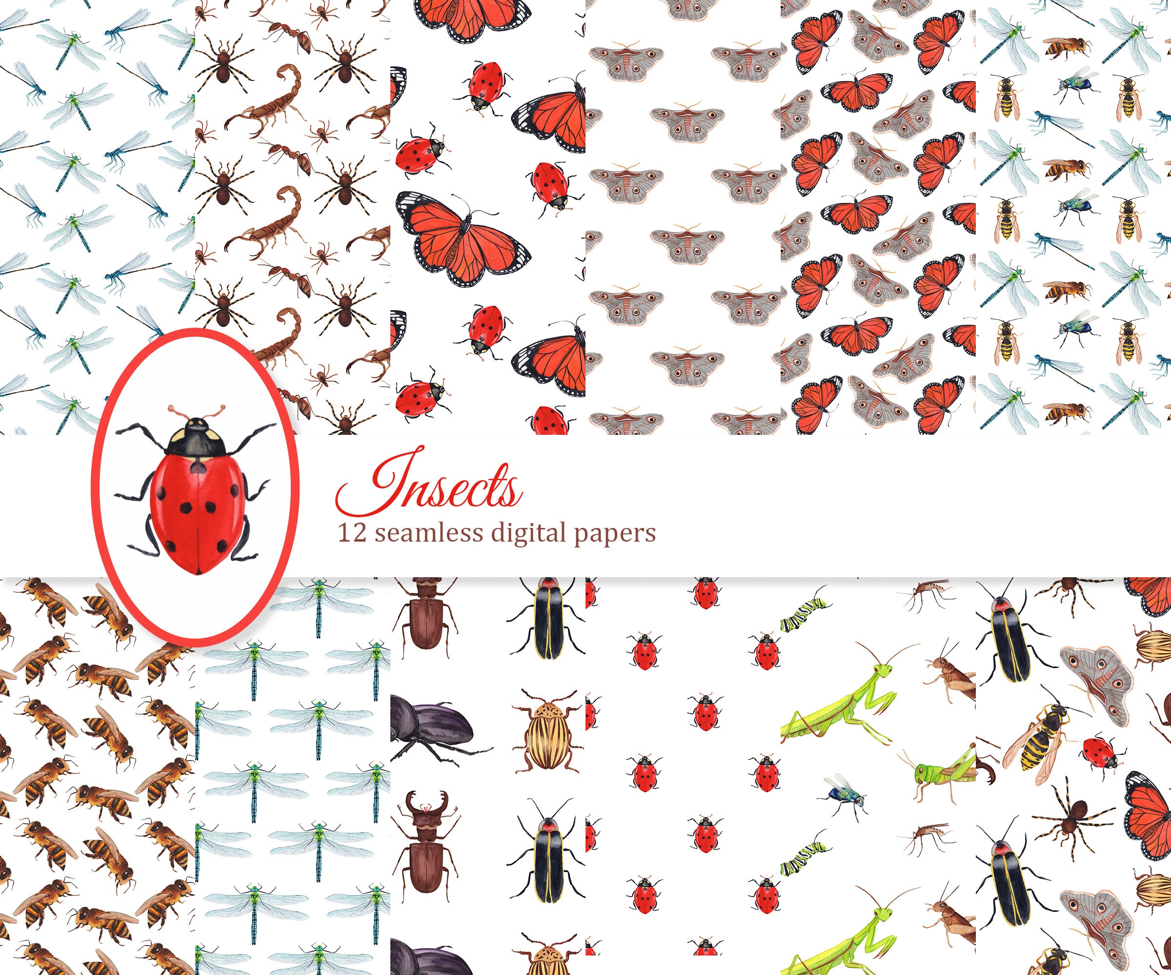 Insects Seamless Pattern, Minibeast Digital Paper Pack, Summer ...