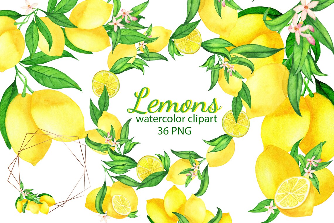 Watercolor Lemon Clipart Lemon Frame Lemon Wreath Summer - Etsy