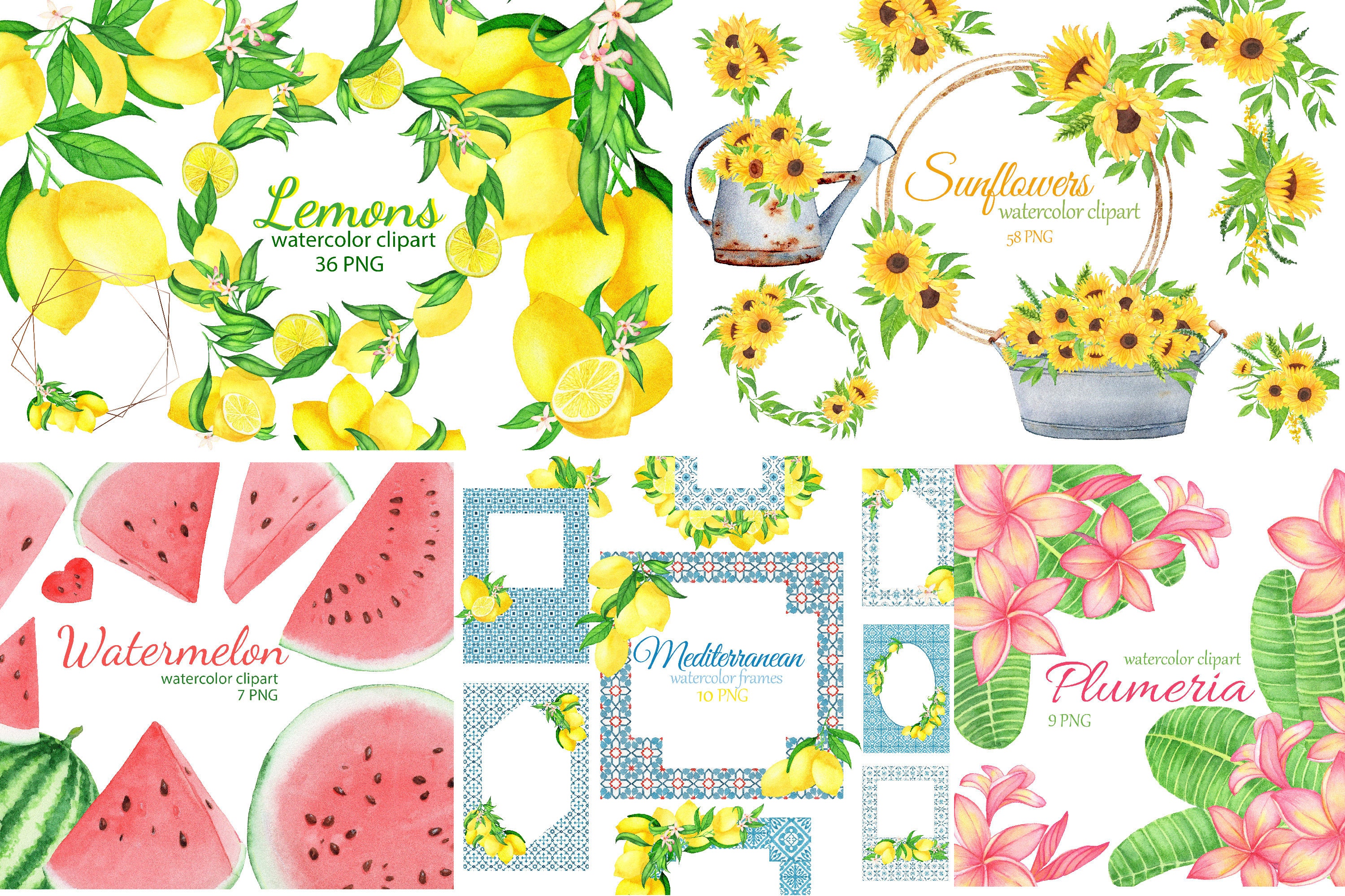 Big Summer Watercolor Clipart Bundle. Boho Tropical Clipart. Fruits ...