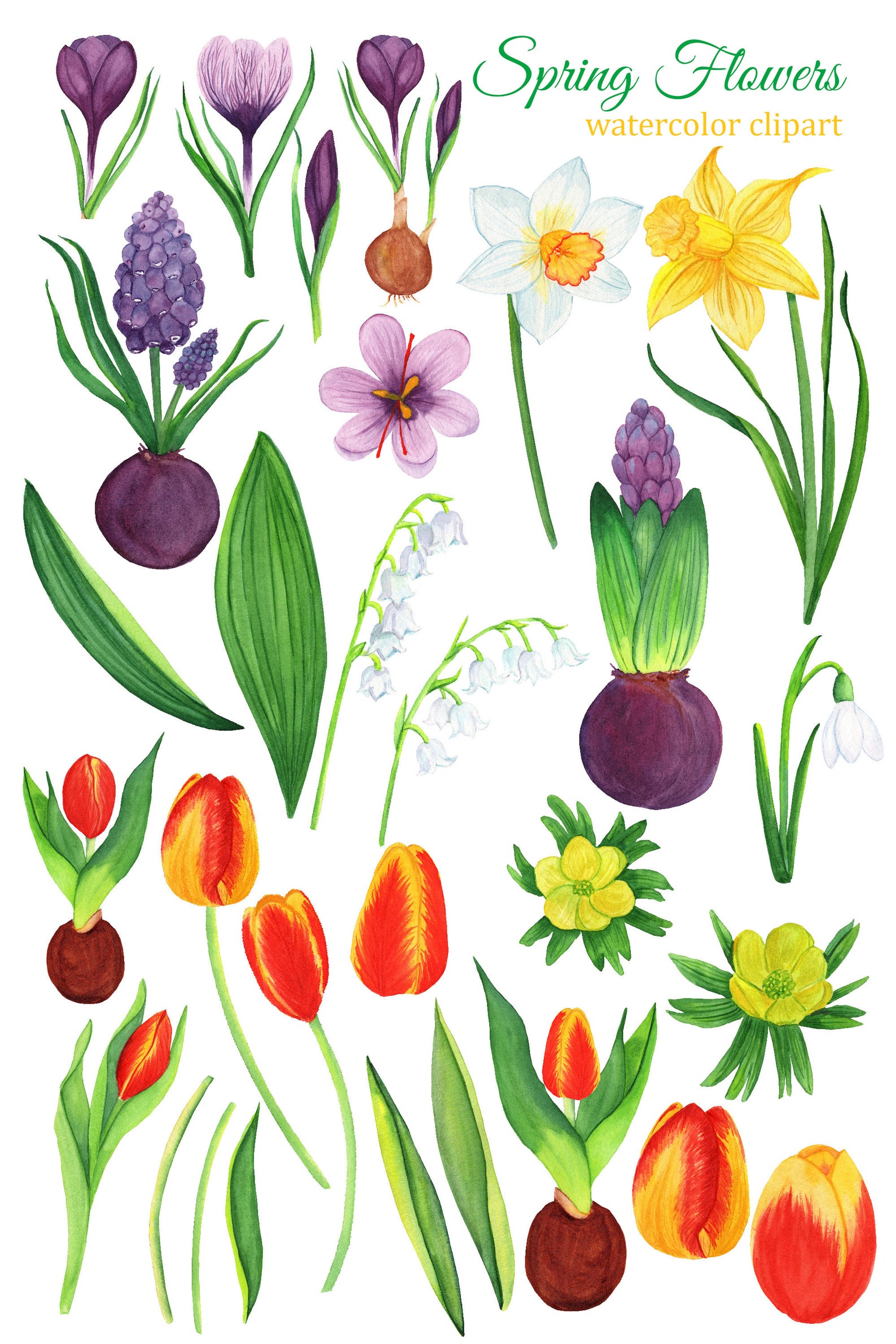 Spring Flowers Watercolor Clipart, Spring PNG, Farmhouse Clip Art ...