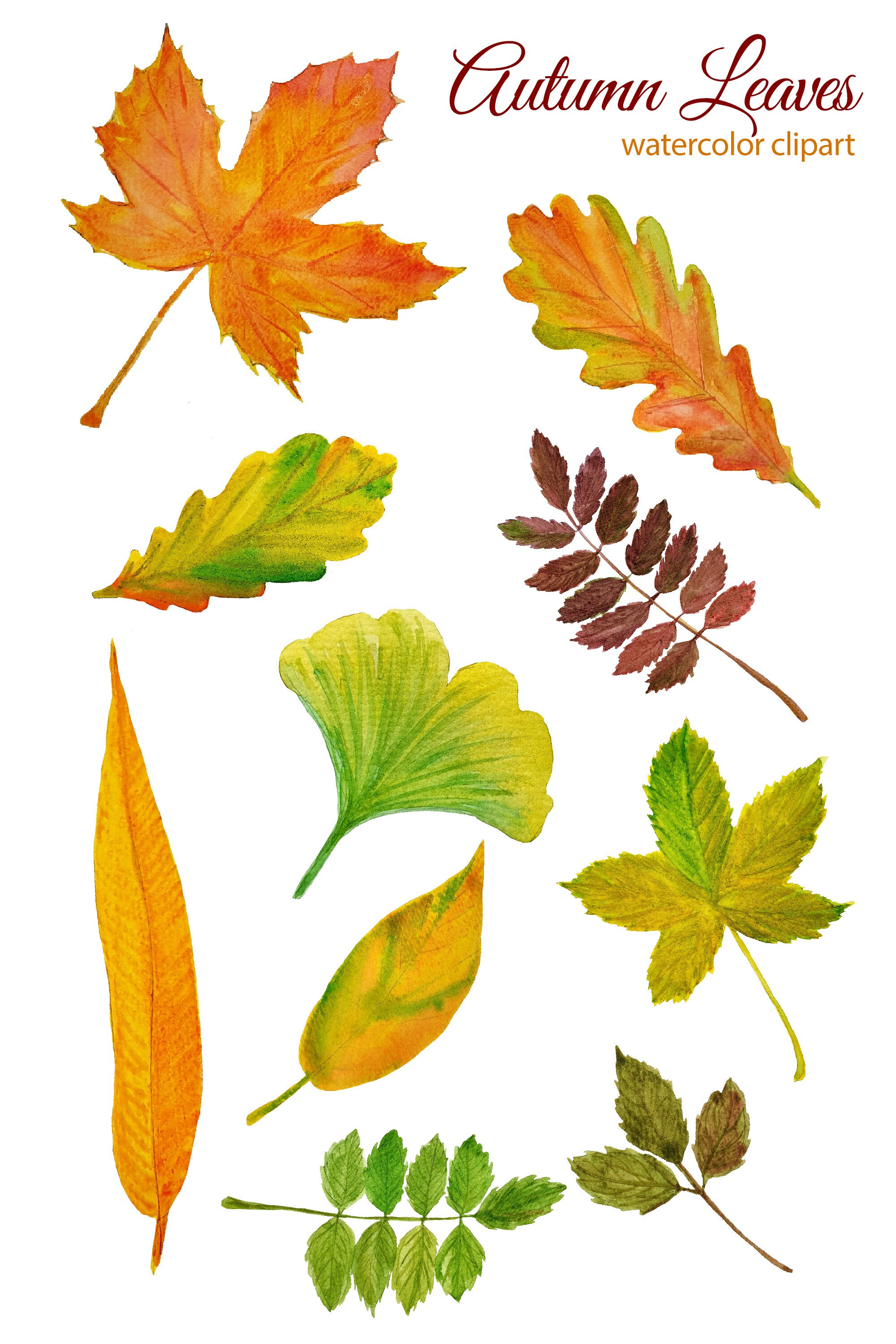 Fall Clipart. Watercolor Autumn Leaves, Fall Wreath, Oak Leaves and ...