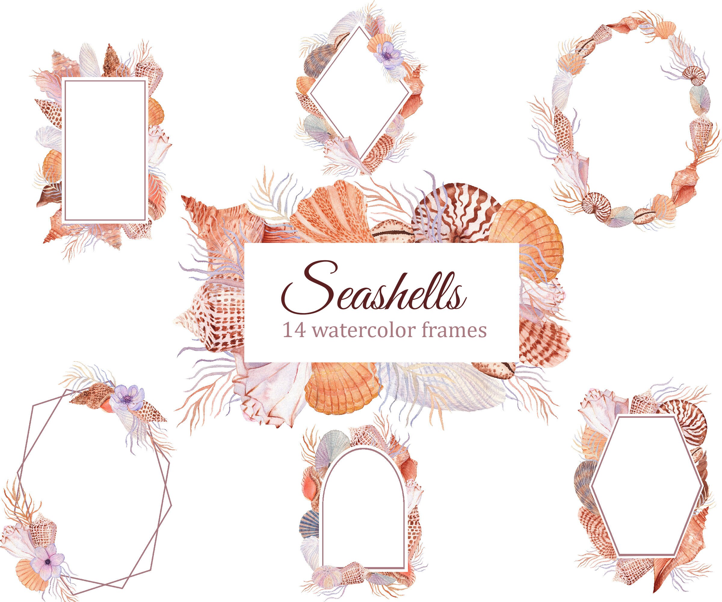 Seashell Watercolor Wreaths Frames Nautical Clipart Beach - Etsy