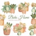 Boho Indoor Plants Watercolor Clipart. Dried Tropical Flowers Bouquets ...