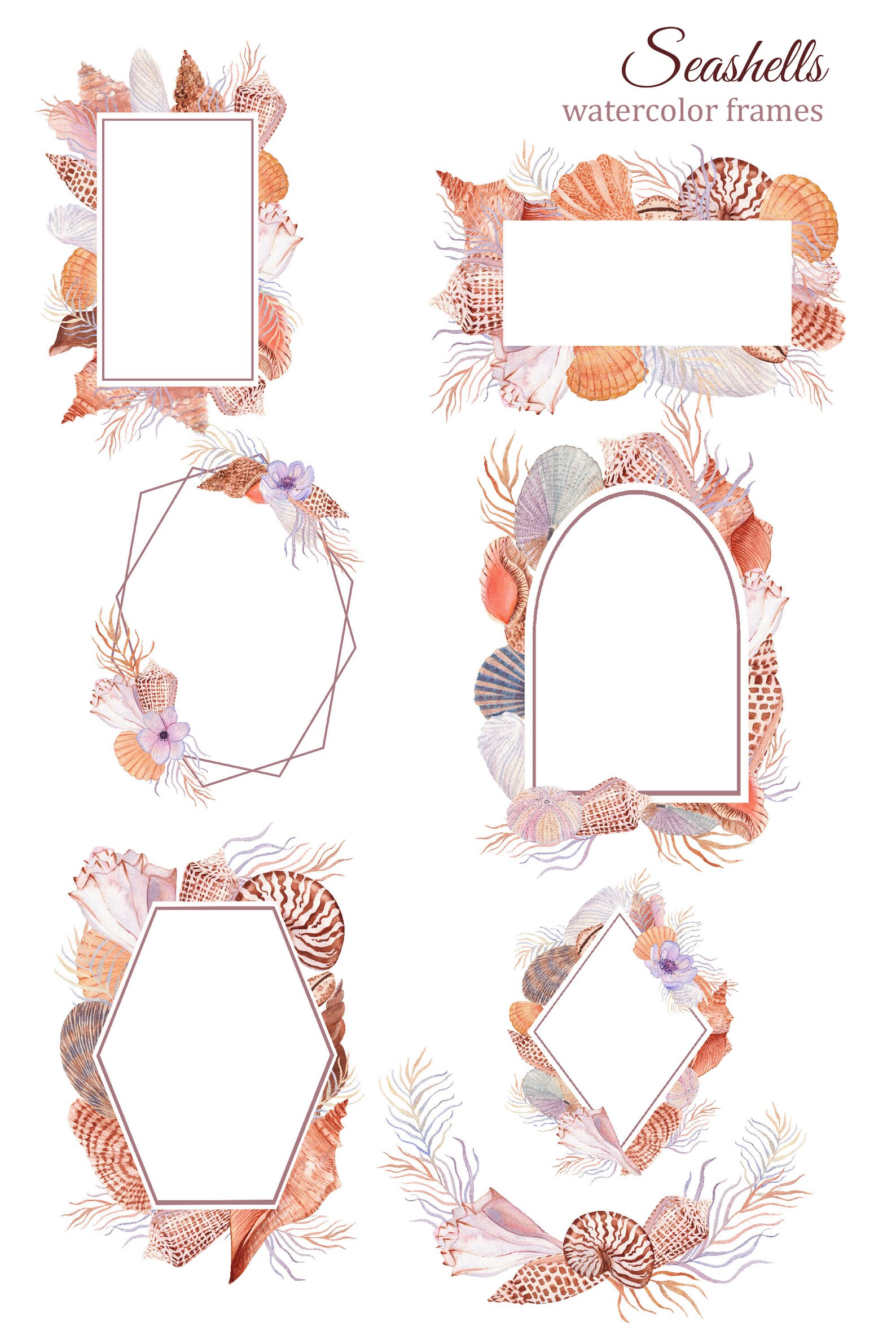Seashell Watercolor Wreaths Frames Nautical Clipart Beach - Etsy