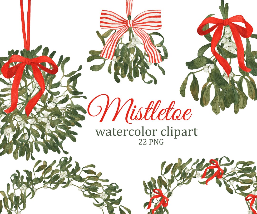 Mistletoe Watercolor Clipart, Christmas Greenery PNG, Winter Wedding ...