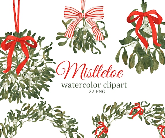 Mistletoe Watercolor Clipart Christmas Greenery PNG Winter | Etsy