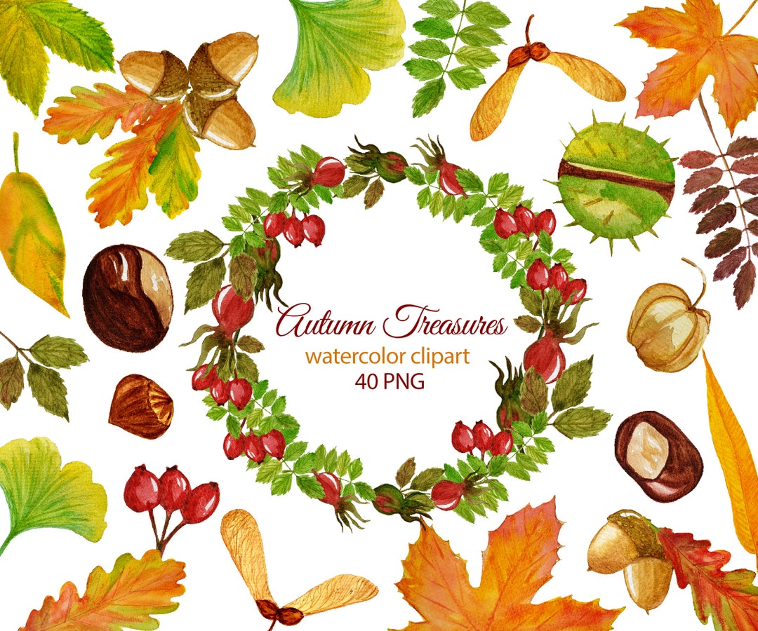 Fall Clipart. Watercolor Autumn Leaves, Fall Wreath, Oak Leaves and ...
