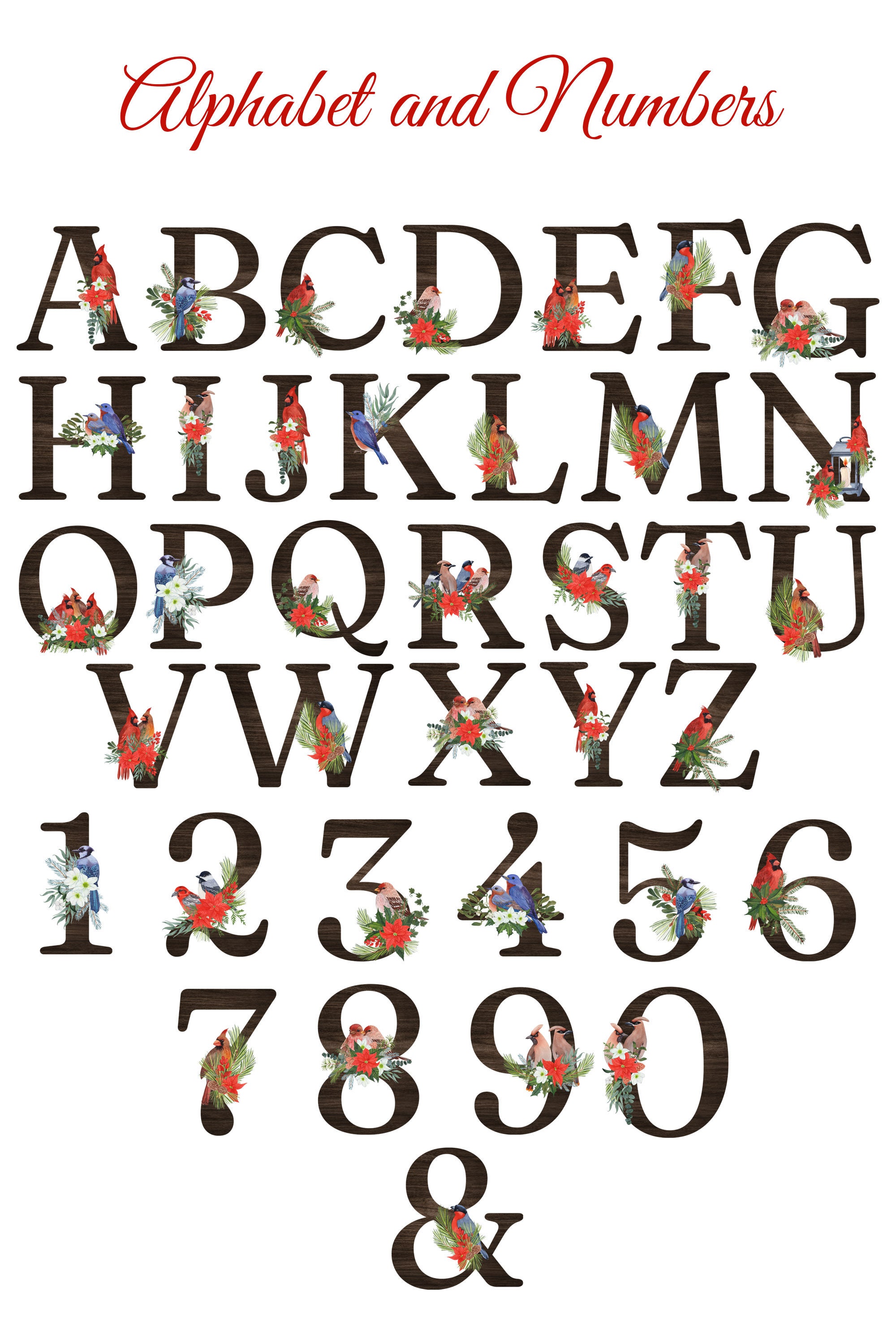 Alphabet Clipart With Watercolor Winter Birds, Numbers Clipart ...