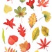 Autumn Leaves Watercolor Clipart Fall Leaf PNG Maple Oak - Etsy