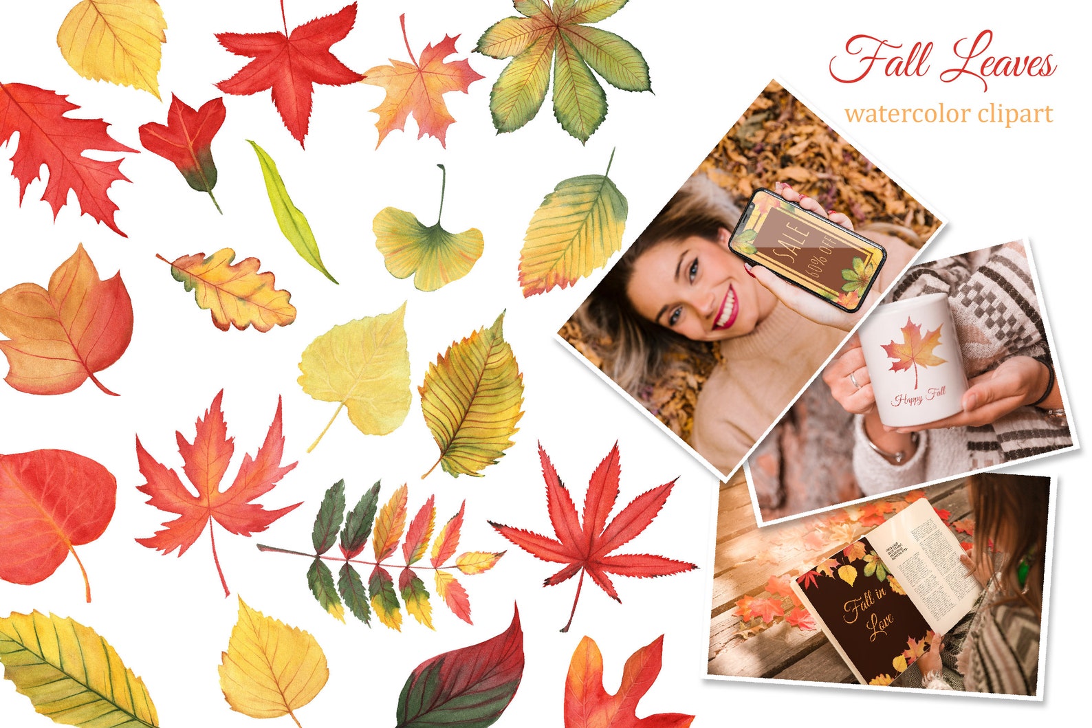 Autumn Leaves Watercolor Clipart Fall Leaf PNG Maple Oak - Etsy