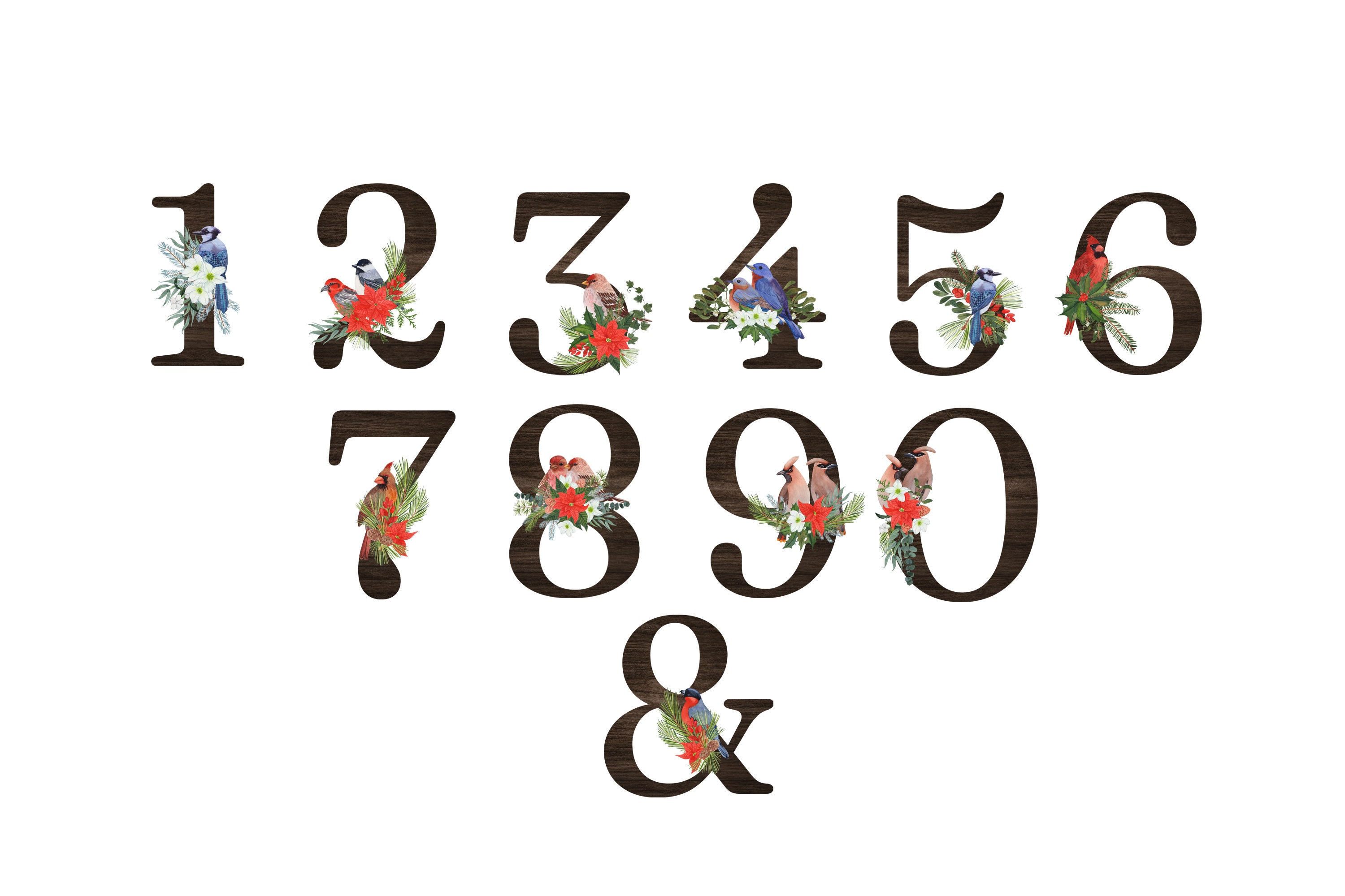 Alphabet Clipart With Watercolor Winter Birds Numbers - Etsy