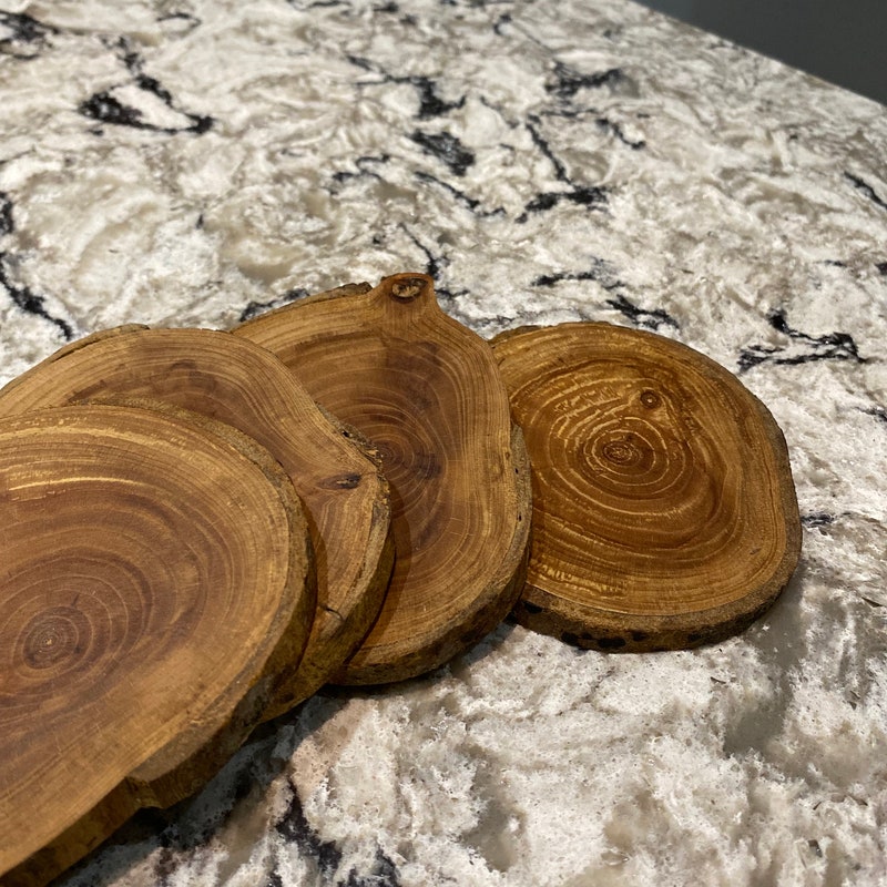 Apple Coasters - Etsy