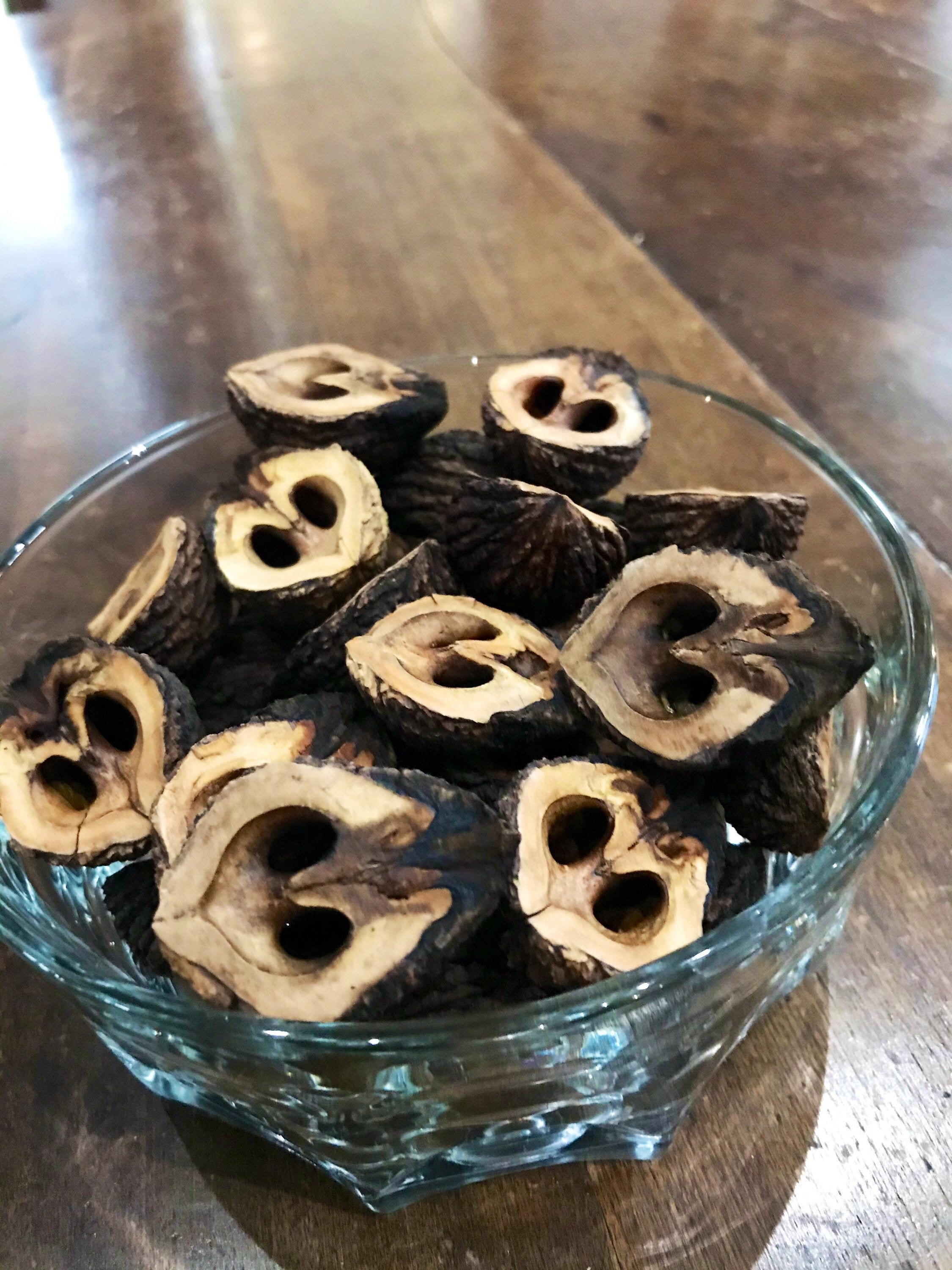 Black Walnut Shells Squirrel Cut-organic Crafts - Etsy