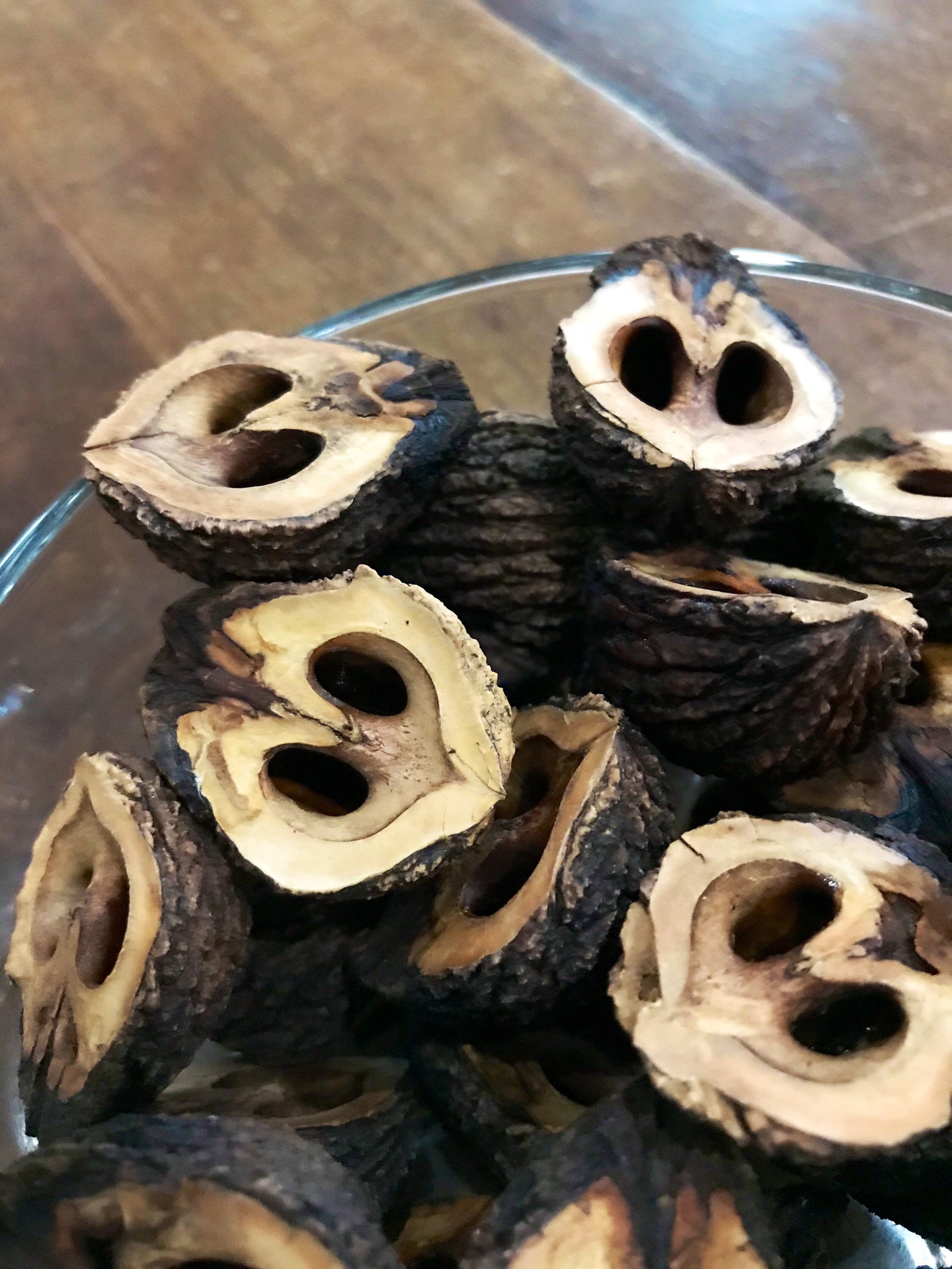 Black Walnut Shells Squirrel Cut-organic Crafts - Etsy