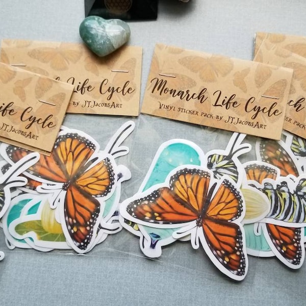 Butterfly Life Cycle - Etsy