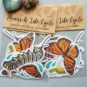 Monarch Butterfly Life Cycle Vinyl Sticker Packs - Etsy