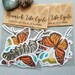 Monarch Butterfly Life Cycle Vinyl Sticker Packs - Etsy