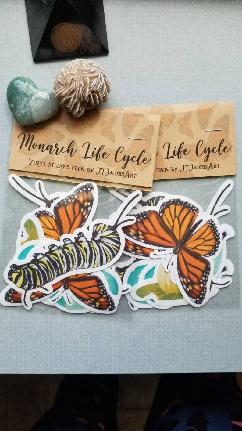 Monarch Butterfly Life Cycle Vinyl Sticker Packs - Etsy