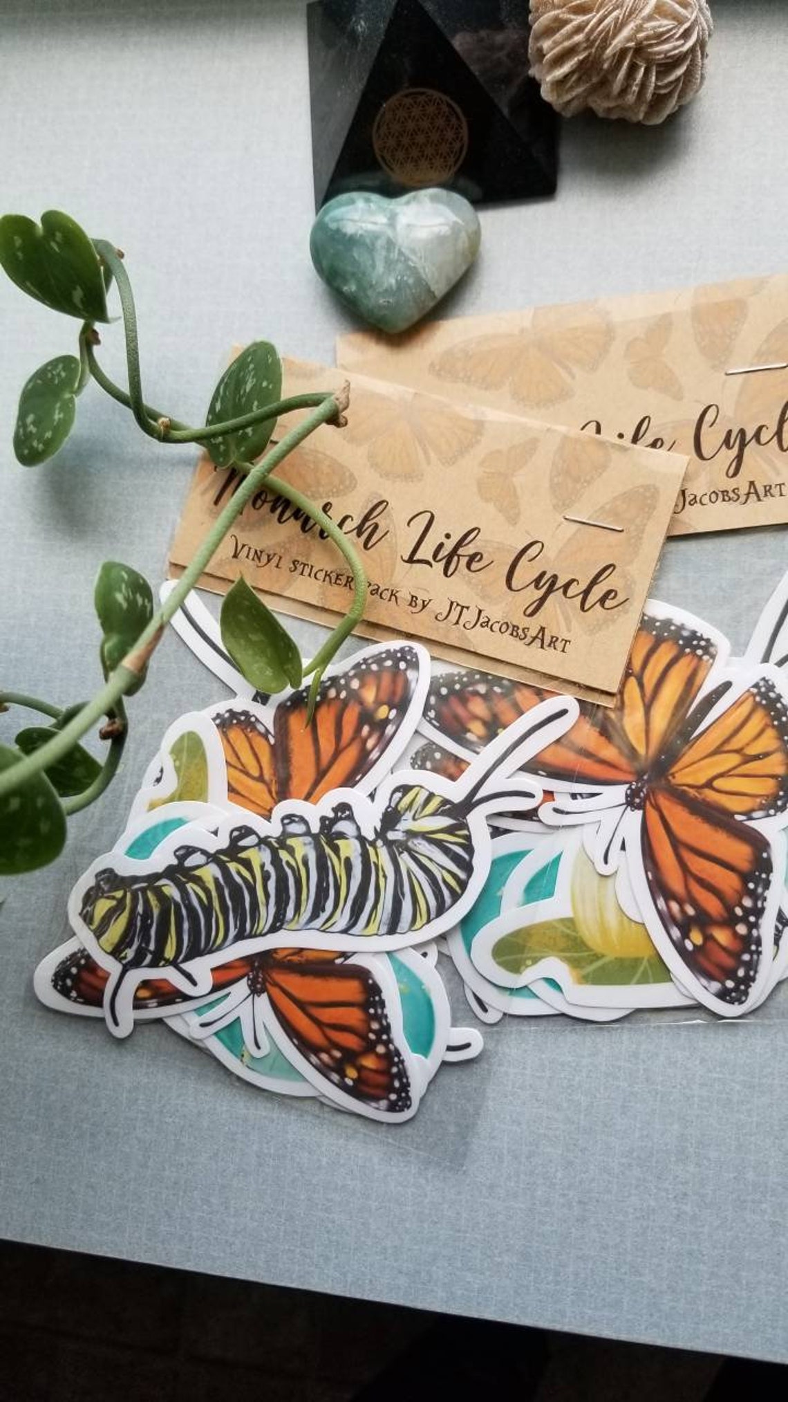 Monarch Butterfly Life Cycle Vinyl Sticker Packs - Etsy