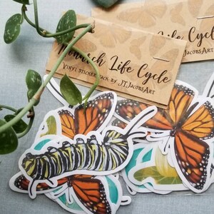 Monarch Butterfly Life Cycle Vinyl Sticker Packs - Etsy