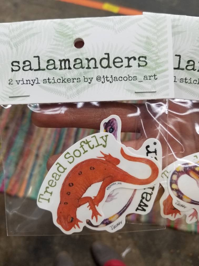 Salamanders Tread Softly Wander Red Eft Spotted Salamander - Etsy