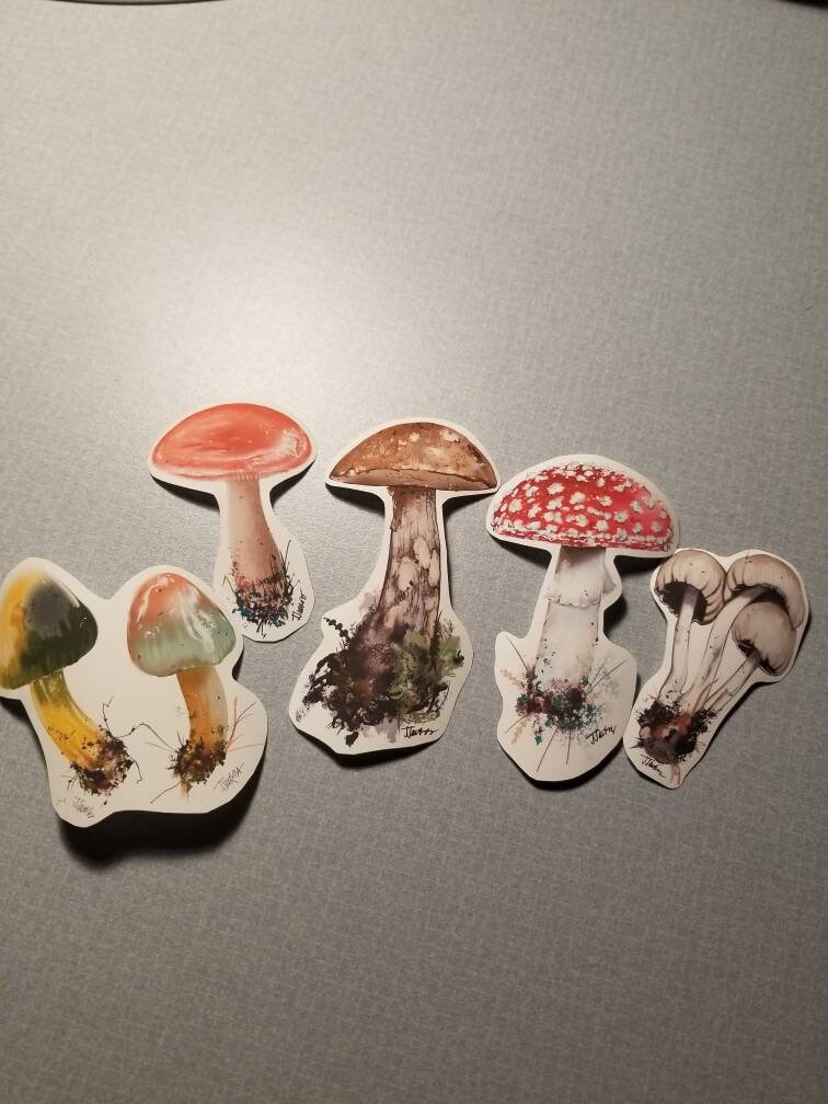 Mushroom vinyl sticker pack mushroom illustrations mushroom | Etsy