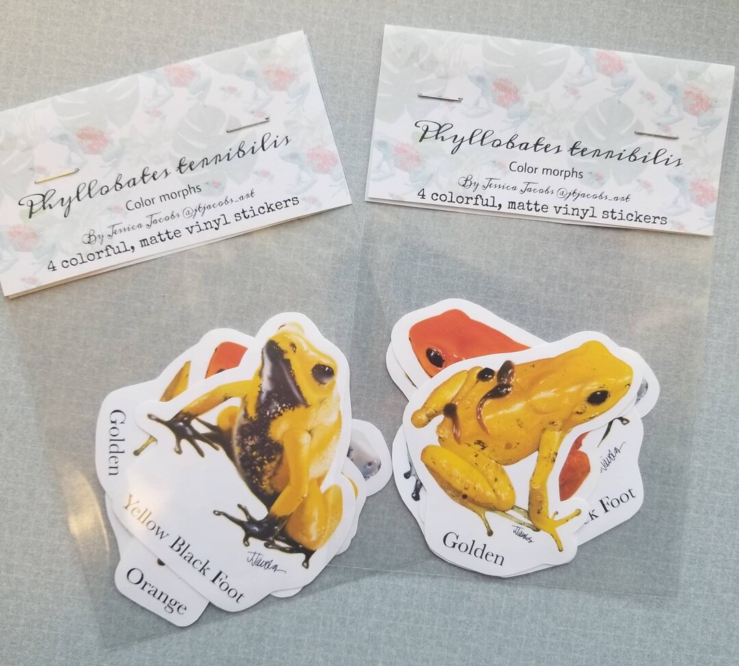 Phyllobates Terribilis (terrible Poison Dart Frog) Vinyl Stickers ...
