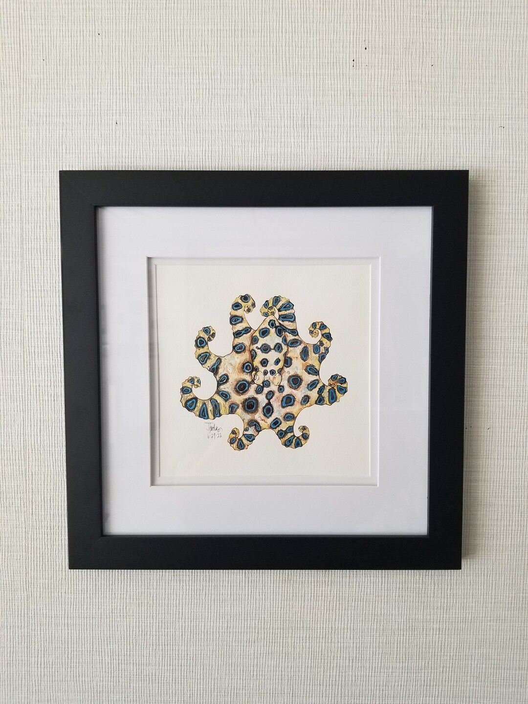 Blue Ringed Octopus Original Watercolor and Ink Painting, 14x14 Inch ...