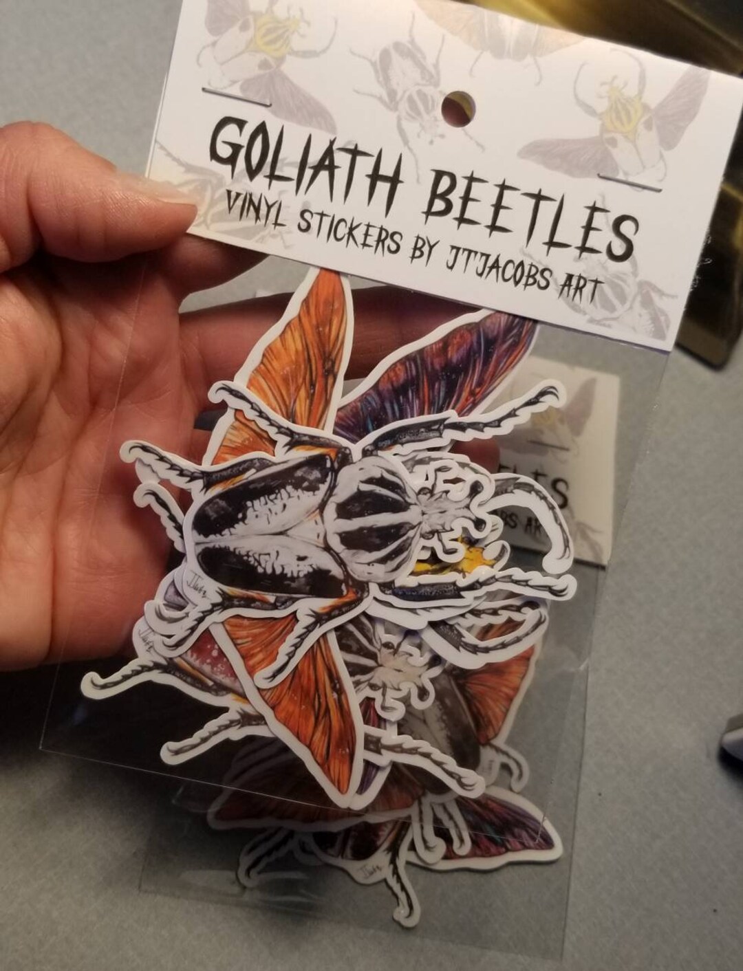 Goliath Beetles Vinyl Stickers, Heat Laminated Stickers, Goliathus Sp ...