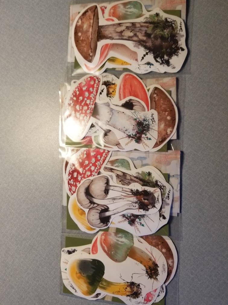 Mushroom vinyl sticker pack mushroom illustrations mushroom | Etsy