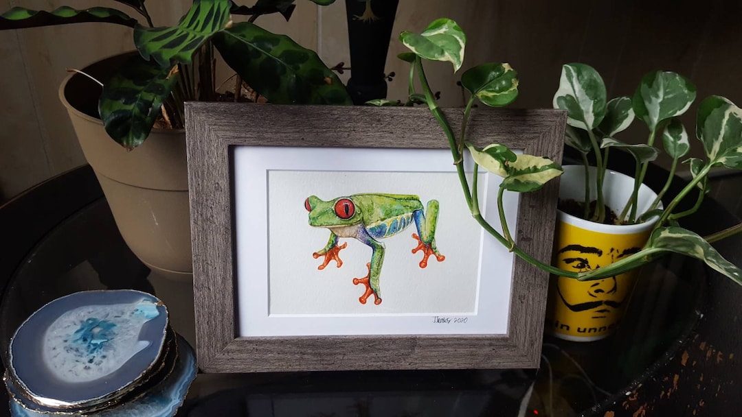 Rainette aux yeux rouges Agalychnis Callidryas PEINTURE - Etsy France