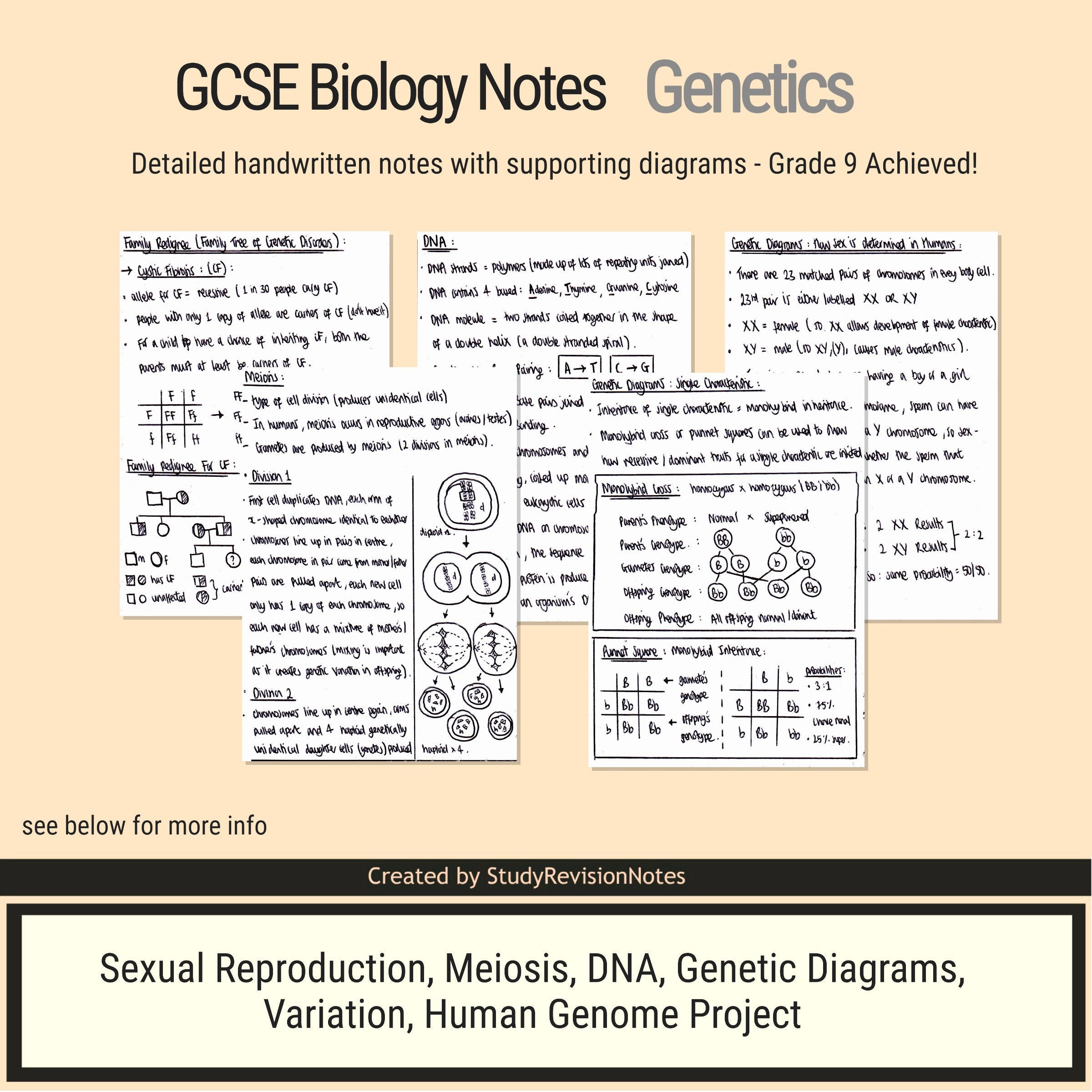 GCSE Biology Notes For: Genetics Grade 9 Achieved - Etsy Australia