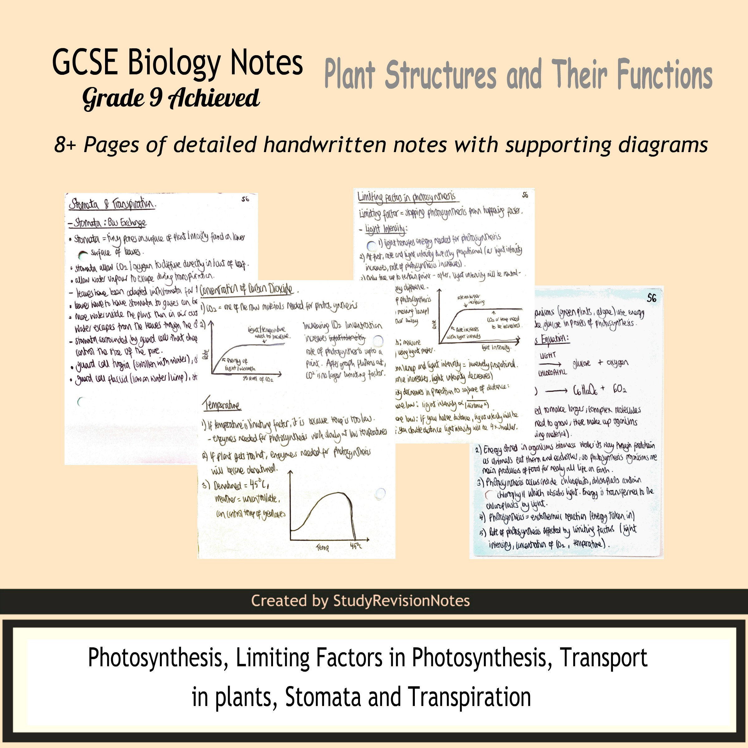 GCSE Biology Notes for: Photosynthesis Plant Structures and | Etsy