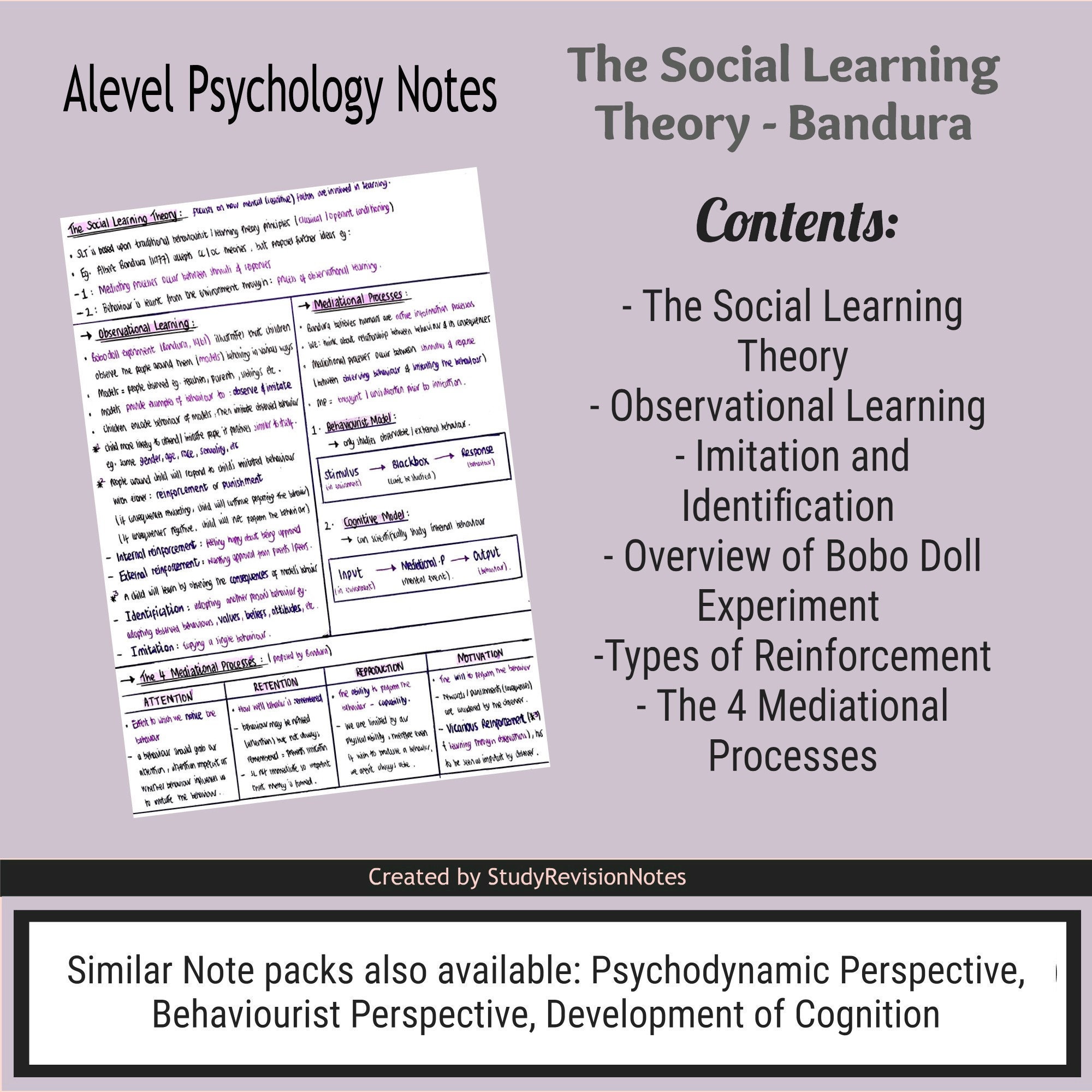 Alevel Psychology Notes: The Social Learning Theory A | Etsy