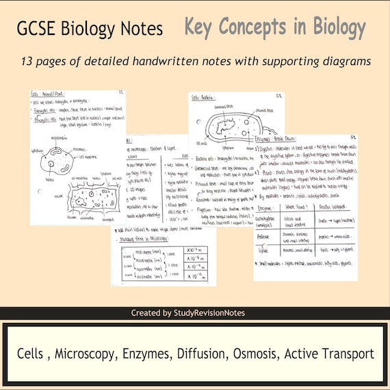 GCSE Biology Notes for: Key Concepts in Biology Grade 9 | Etsy