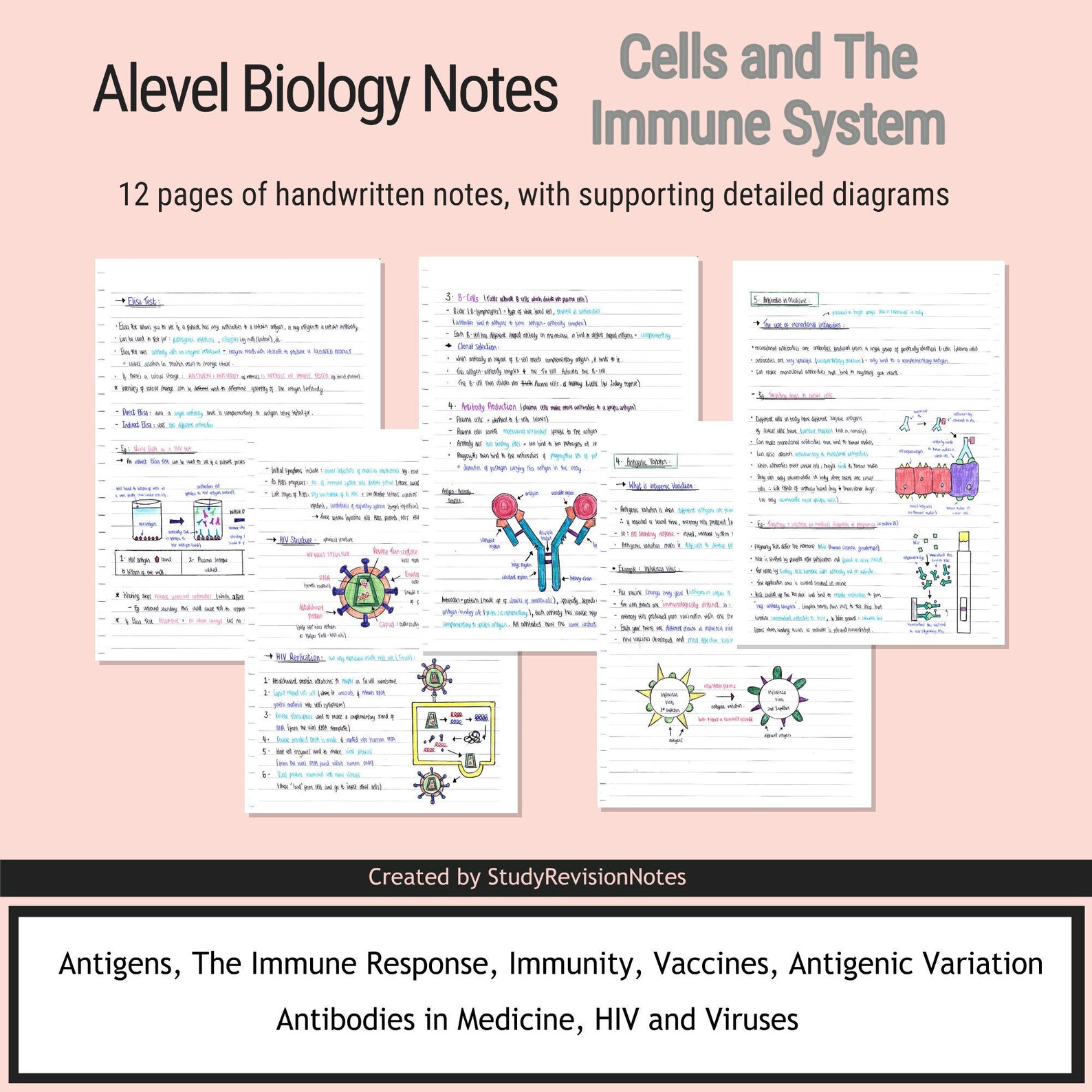 Biology Notes: Cells and the Immune System - A* Student - Etsy