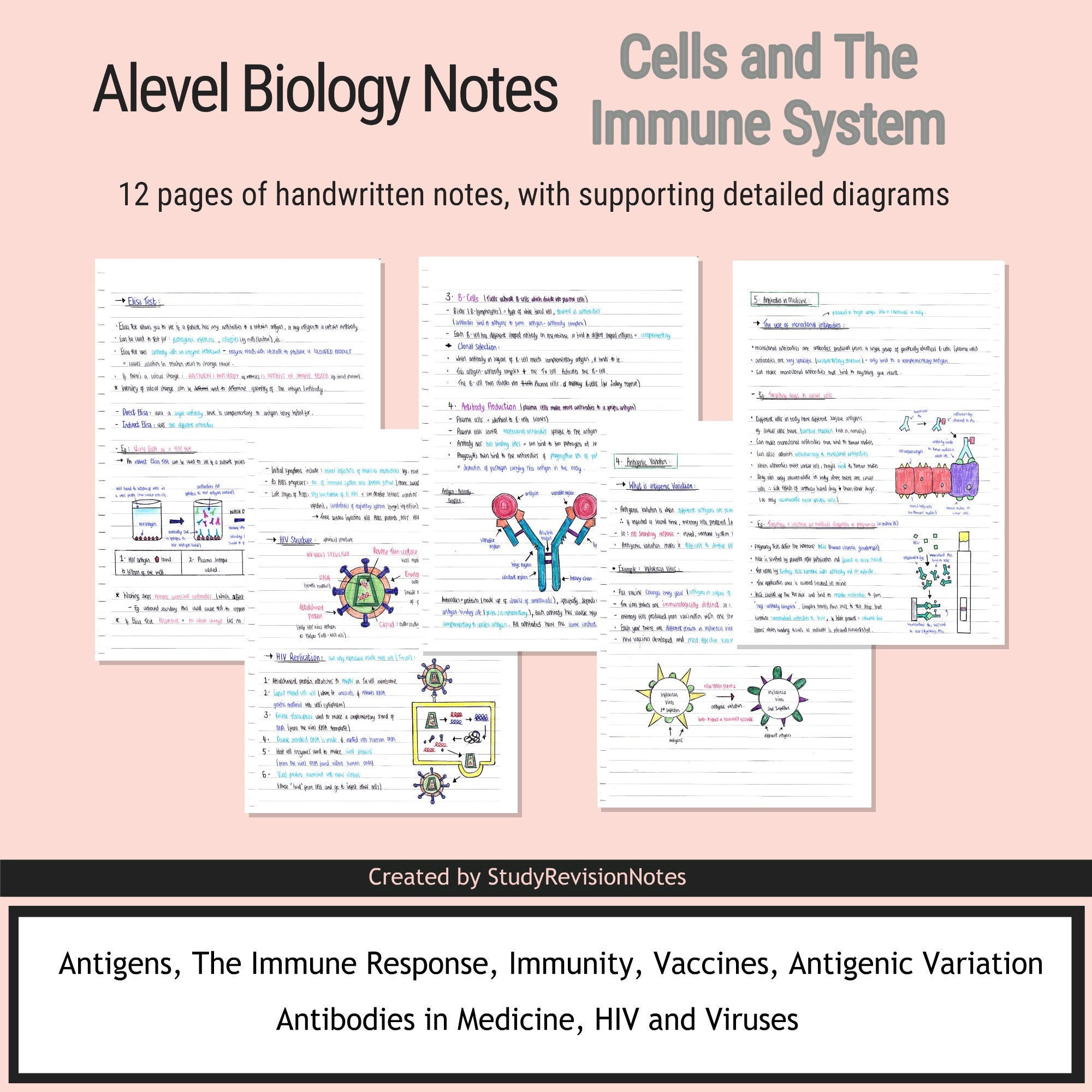 Biology Notes: Cells and the Immune System - A* Student - Etsy