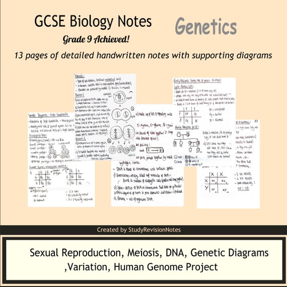 GCSE Biology Notes for: Genetics Grade 9 Achieved | Etsy